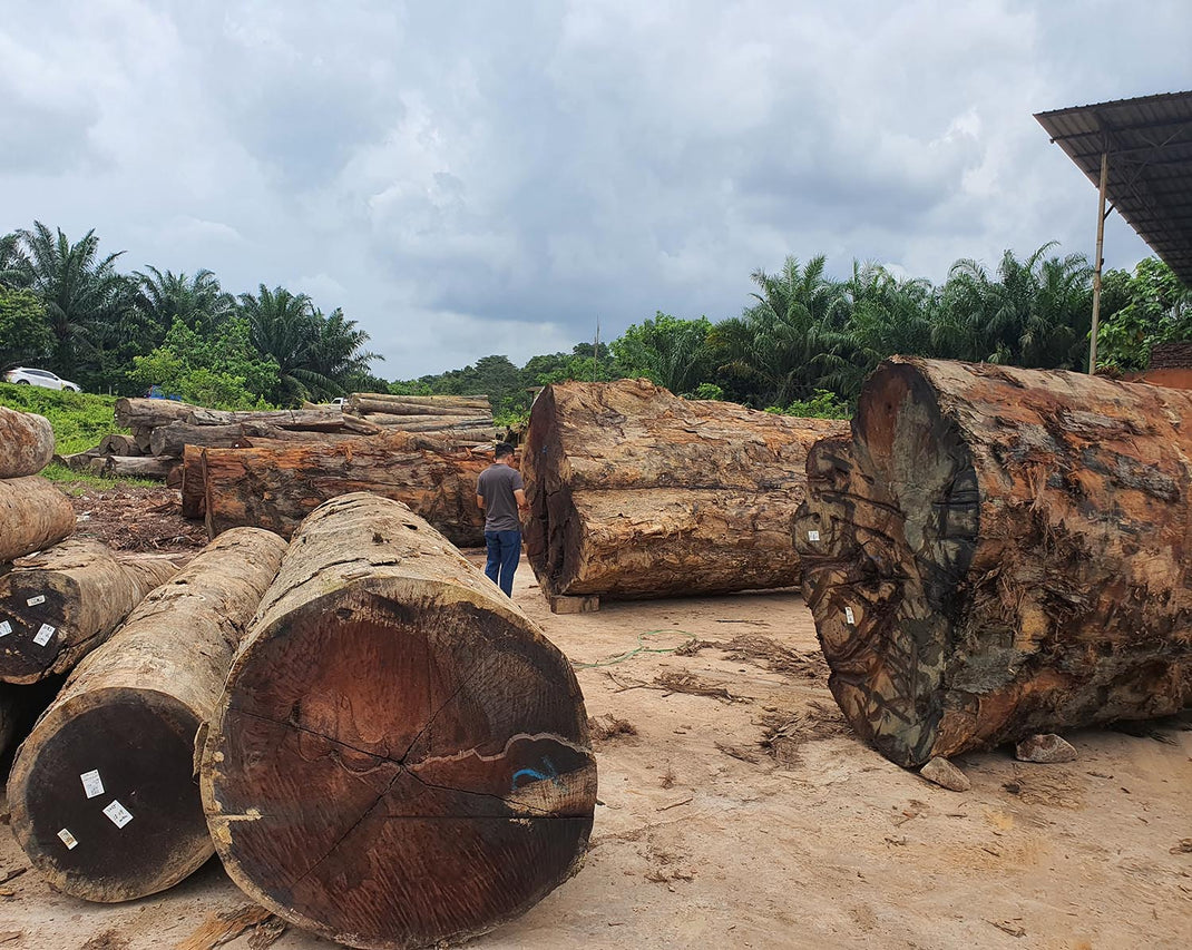 MERBAU – Kamwo Timber