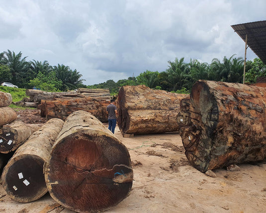 MERBAU – Kamwo Timber