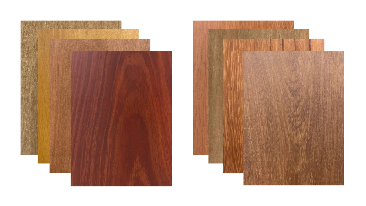 Popular Solid Hardwood Species in Malaysia – Kamwo Timber